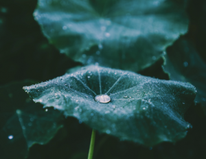 Introduction of interface physics - Principia Lab