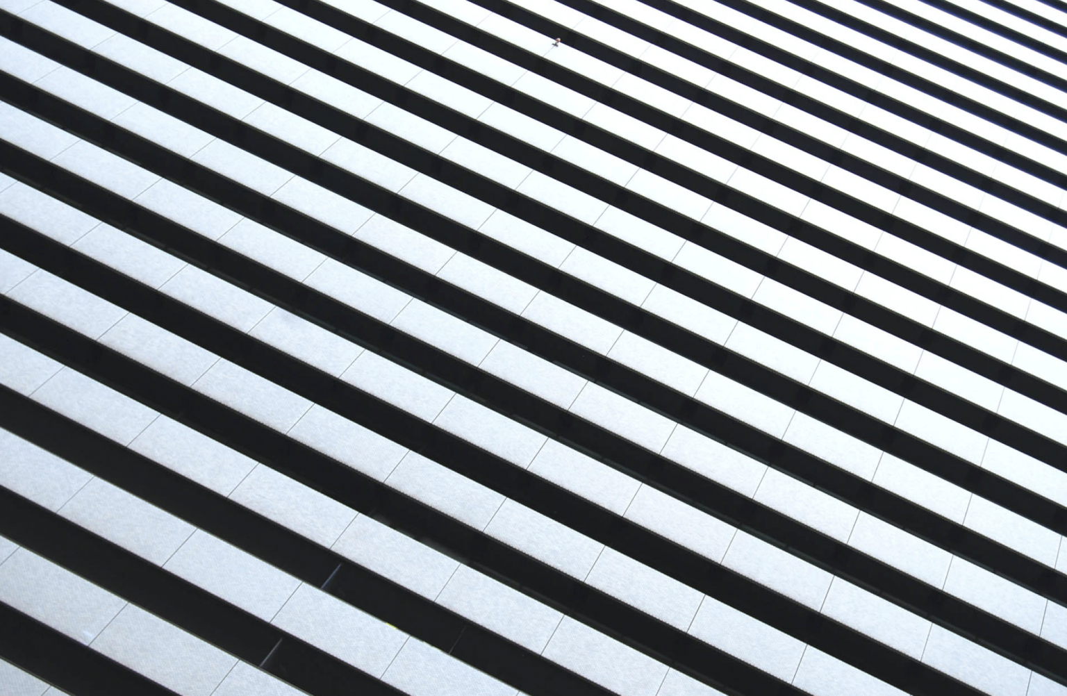 Interface Physics 〜3.Cassie-Baxter equation〜 - Principia Lab